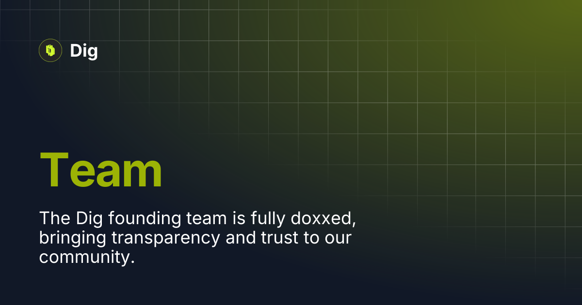 Team | Dig